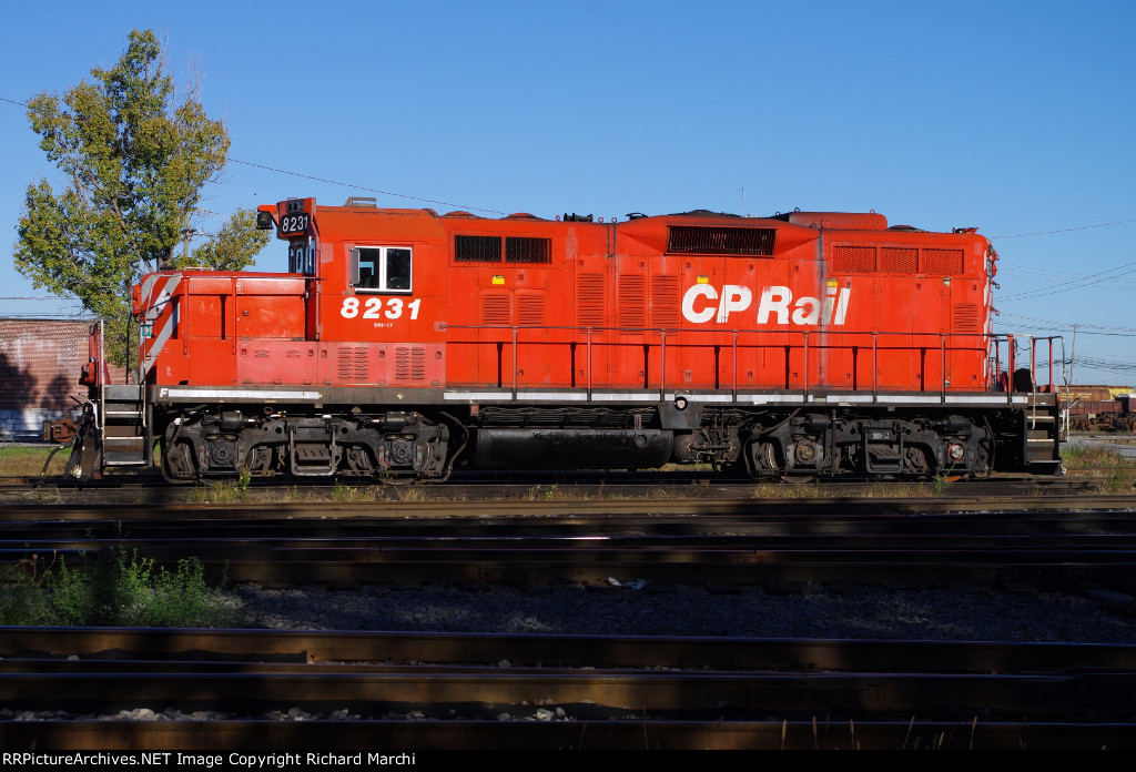 CP 8231
